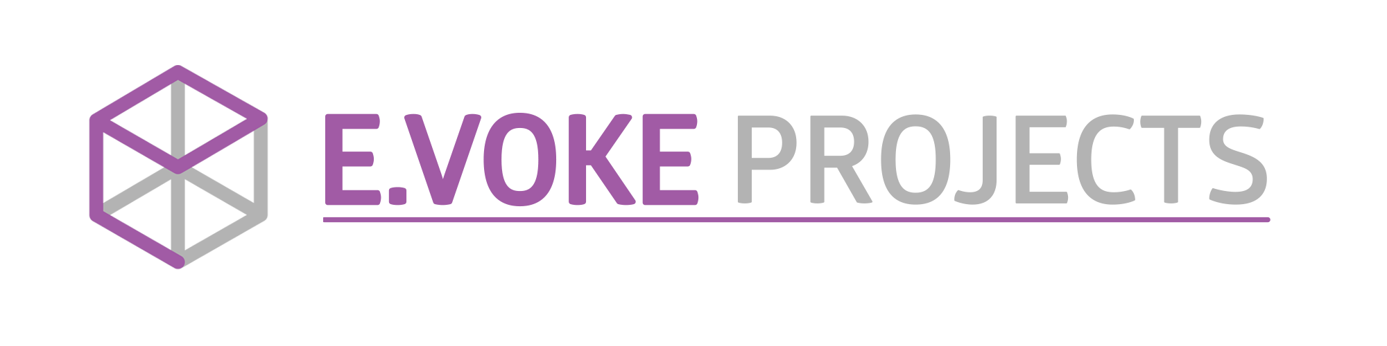 Evoke Project Management – Shopfitting Manufacture Flooring Lighting ...